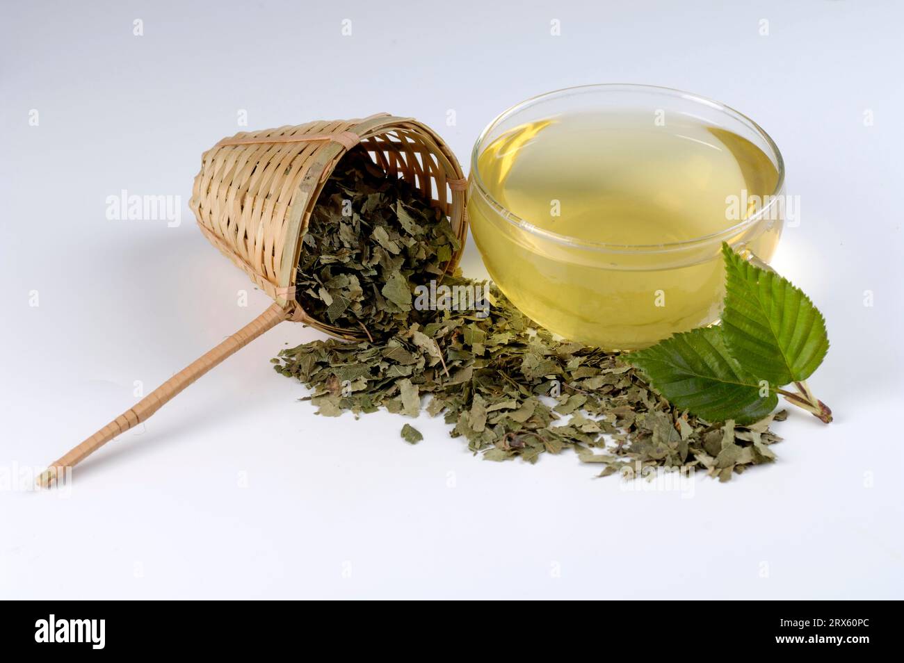 Birch tea hi-res stock photography and images - Alamy