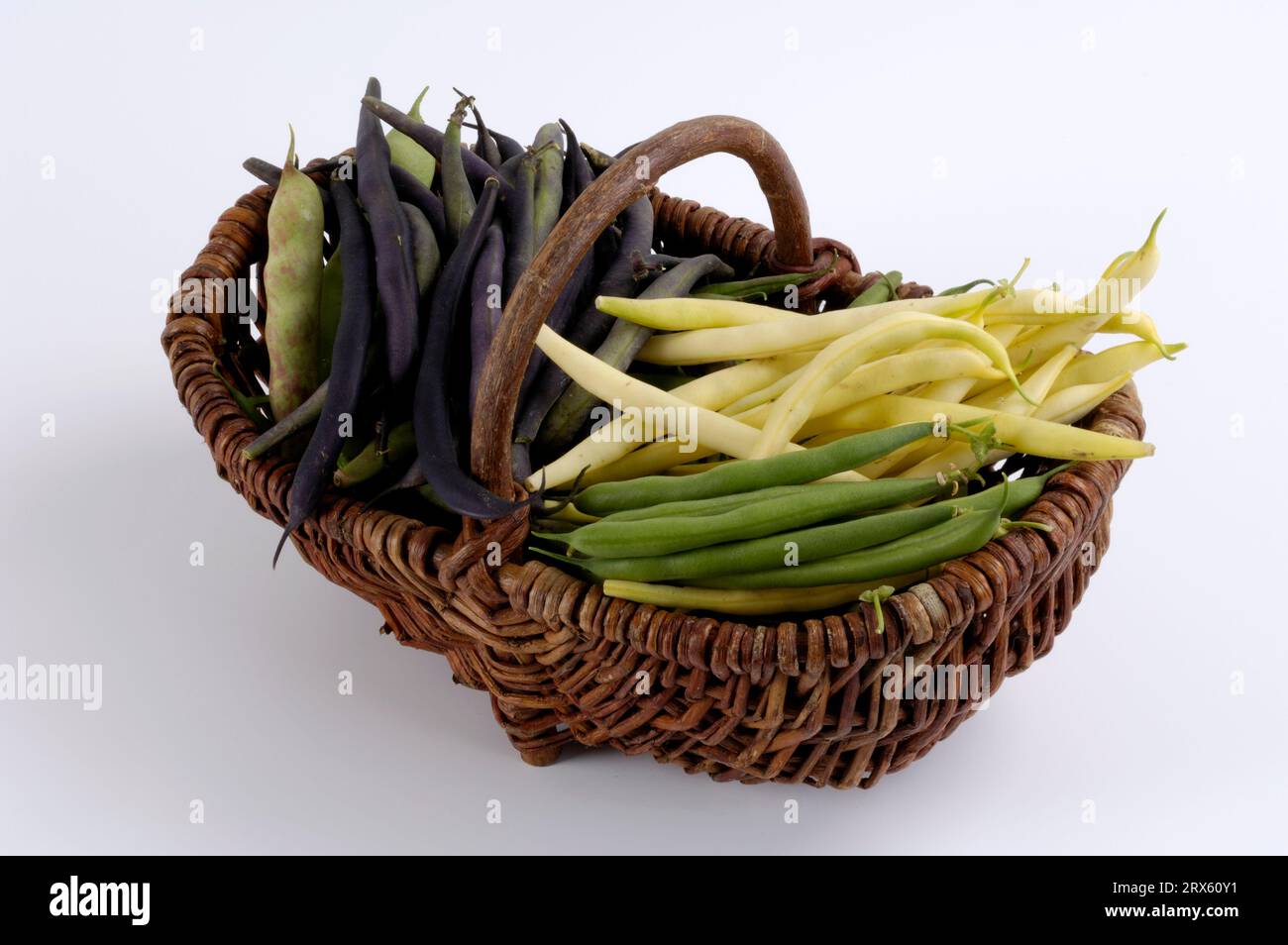 Basket with bush beans 'Filetty', 'Beggold' and 'Purple Teepee ...