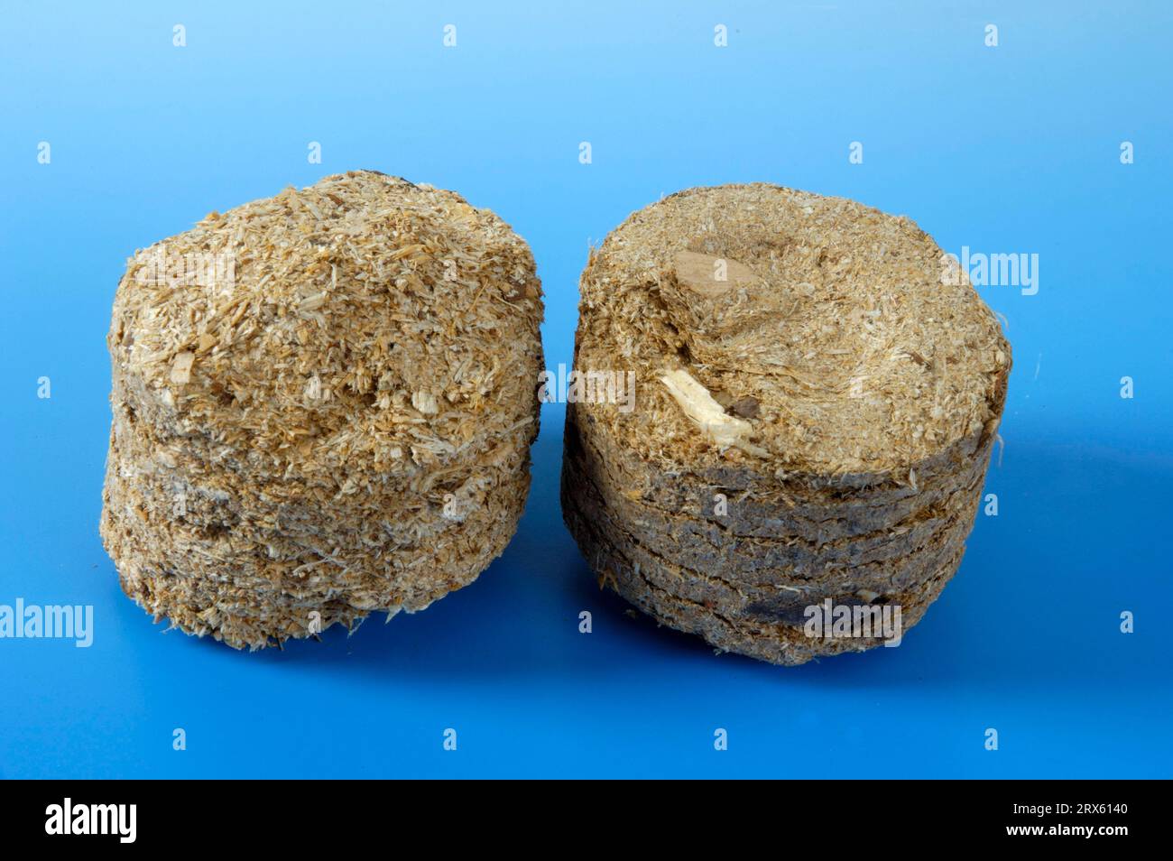 Substrate soil for mushroom cultivation, substrate block, mushroom ...