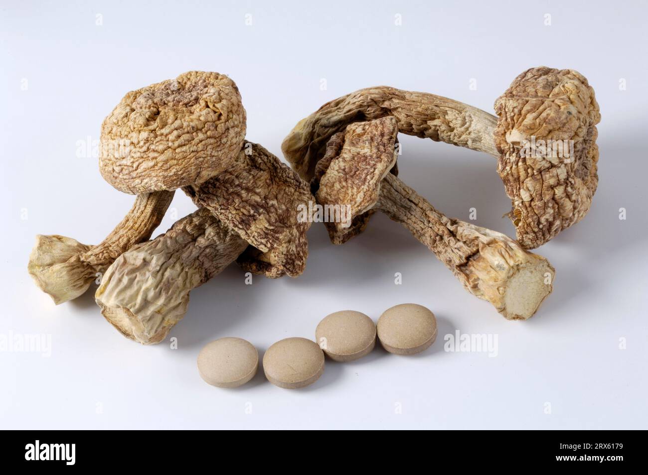 Almond mushrooms, dried and as tablets (Agaricus blazei murrill ...