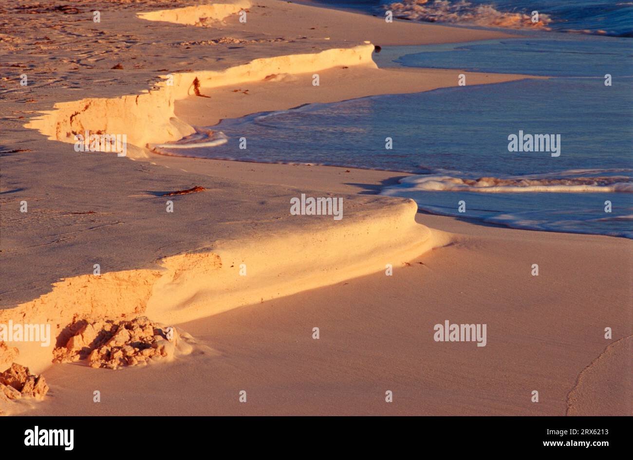 Sandy beach beach in the morning light, Bahamas Stock Photo - Alamy