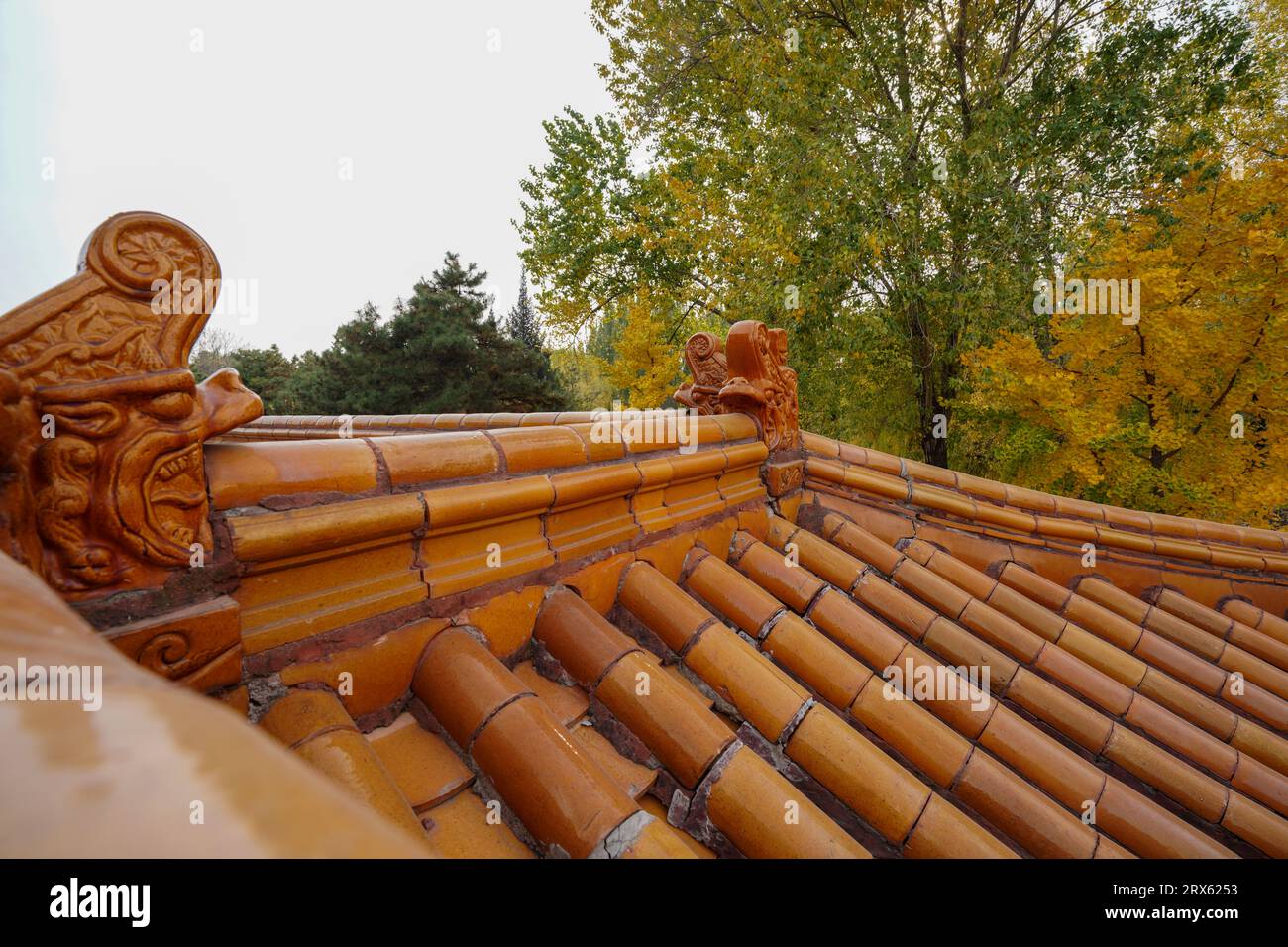 Yellow Chinese glazed roof tile dragon head architecture of Huangtangzi ...