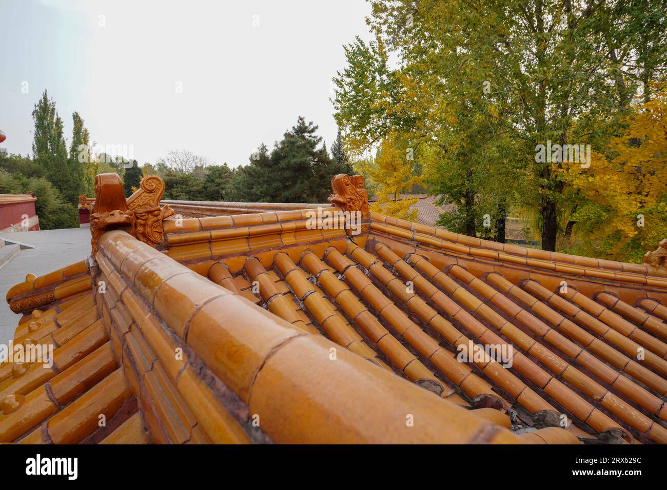 Yellow Chinese glazed roof tile dragon head architecture of Huangtangzi ...