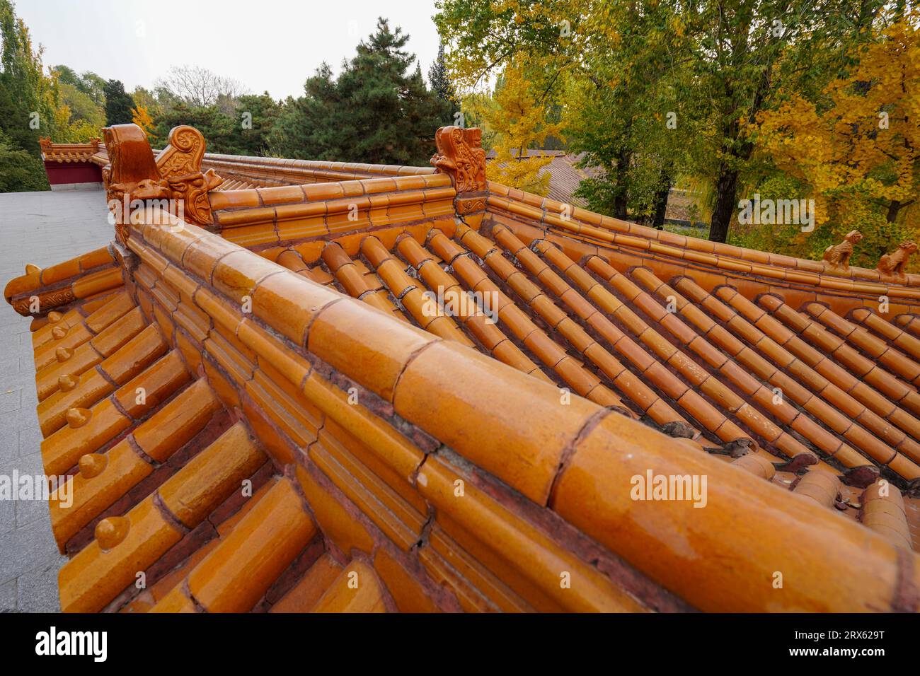 Yellow Chinese glazed roof tile dragon head architecture of Huangtangzi ...