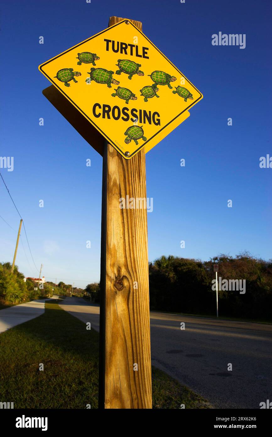 Road sign 'Tortoises crossing the roadway', Daytona Beach, Florida, USA ...