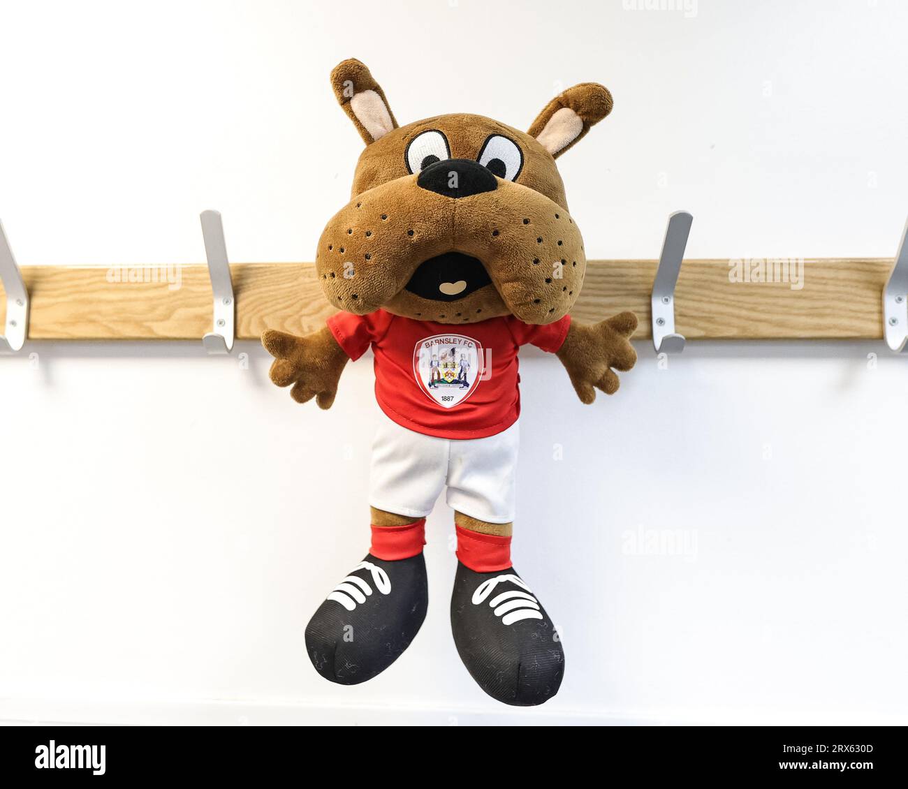 Mini toby tyke hi-res stock photography and images - Alamy