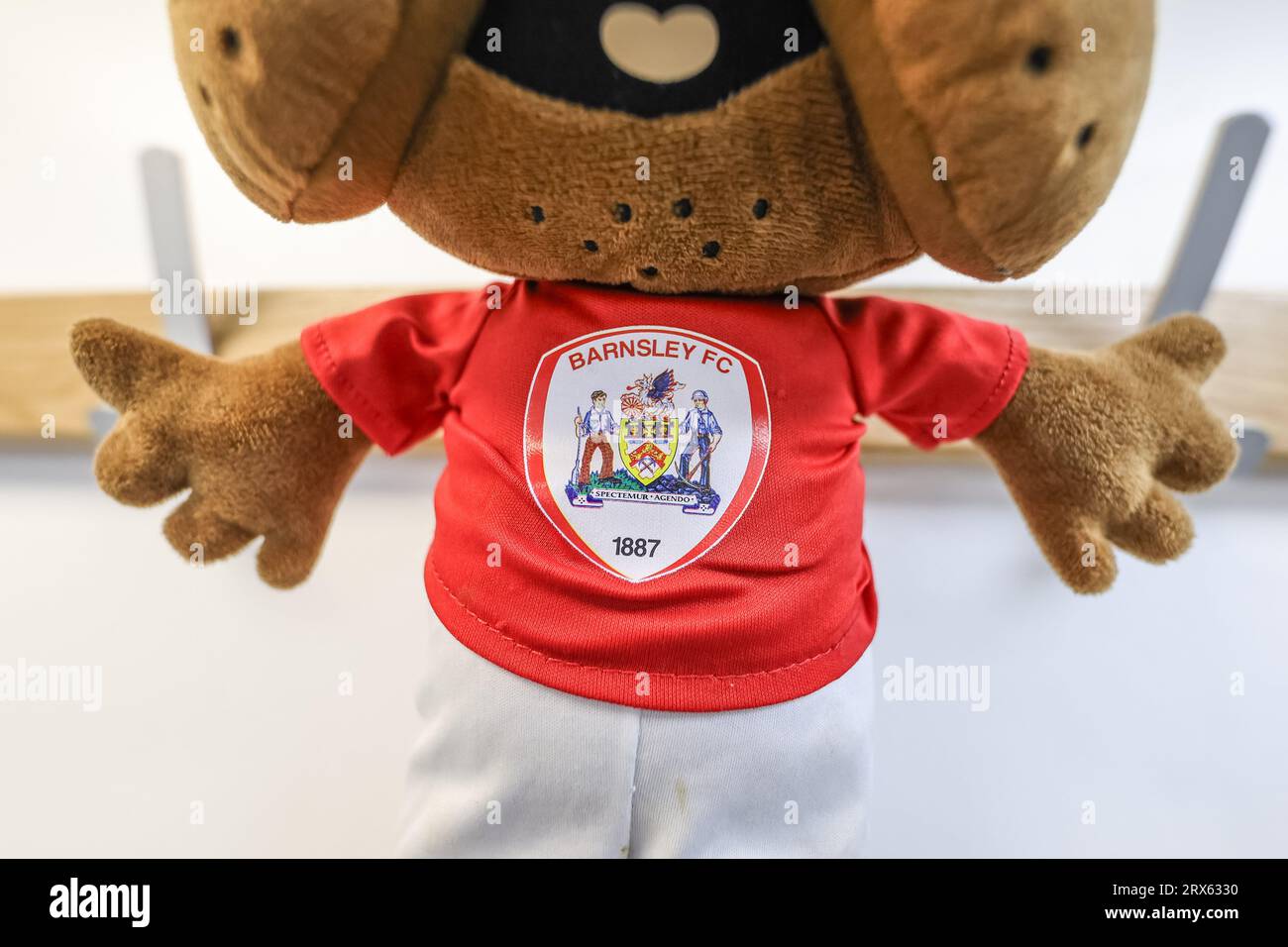 Mini toby tyke hi-res stock photography and images - Alamy