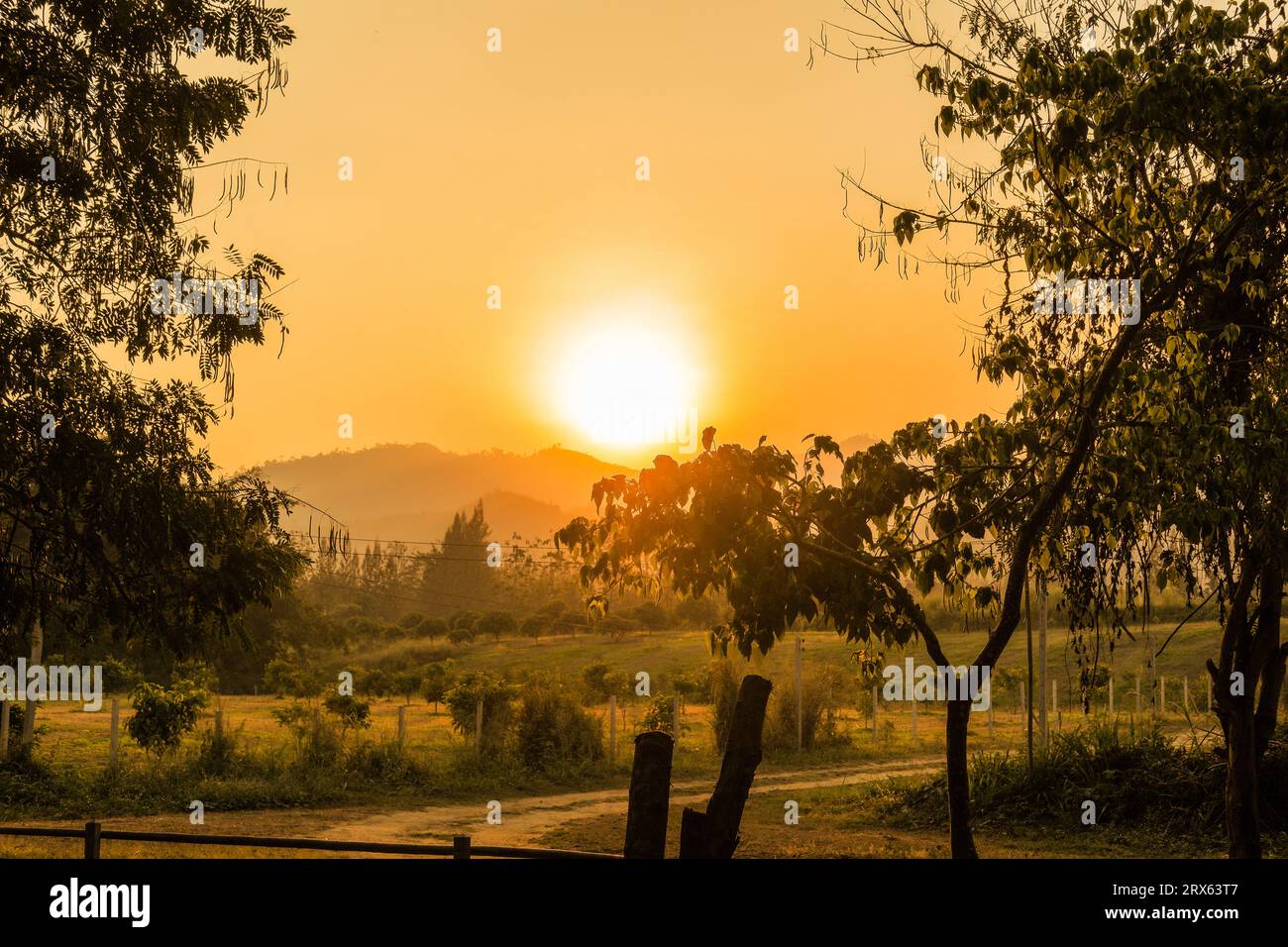 The beautiful sunset sky and forest landscape change colors at twilight ...
