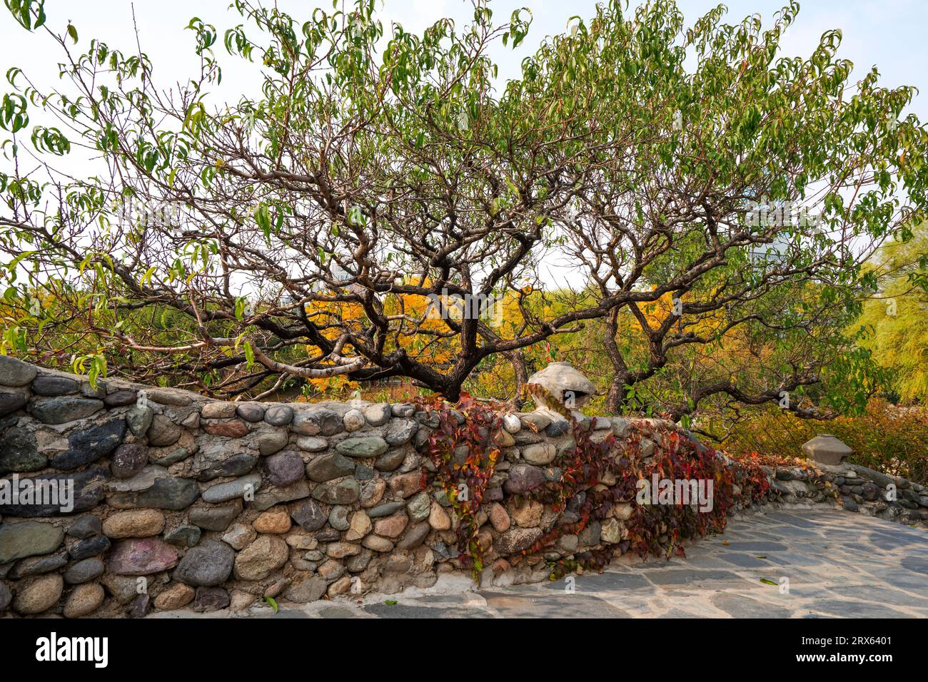 Plants in Taiwan Scenic Spot of China Ethnic Museum Stock Photo - Alamy