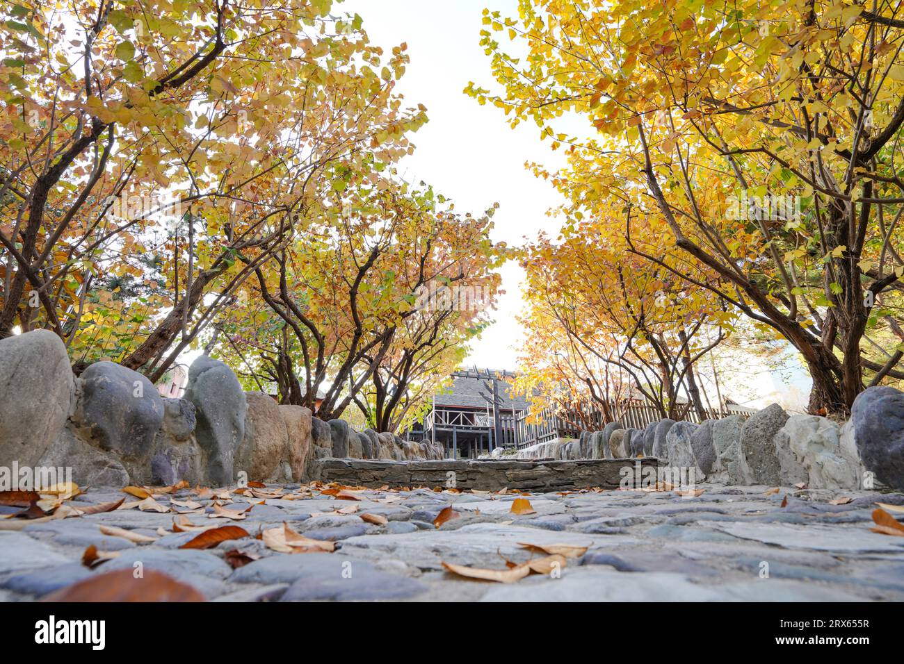 Scenery of Hani people Nationality Scenic Spot in China Ethnic Museum ...