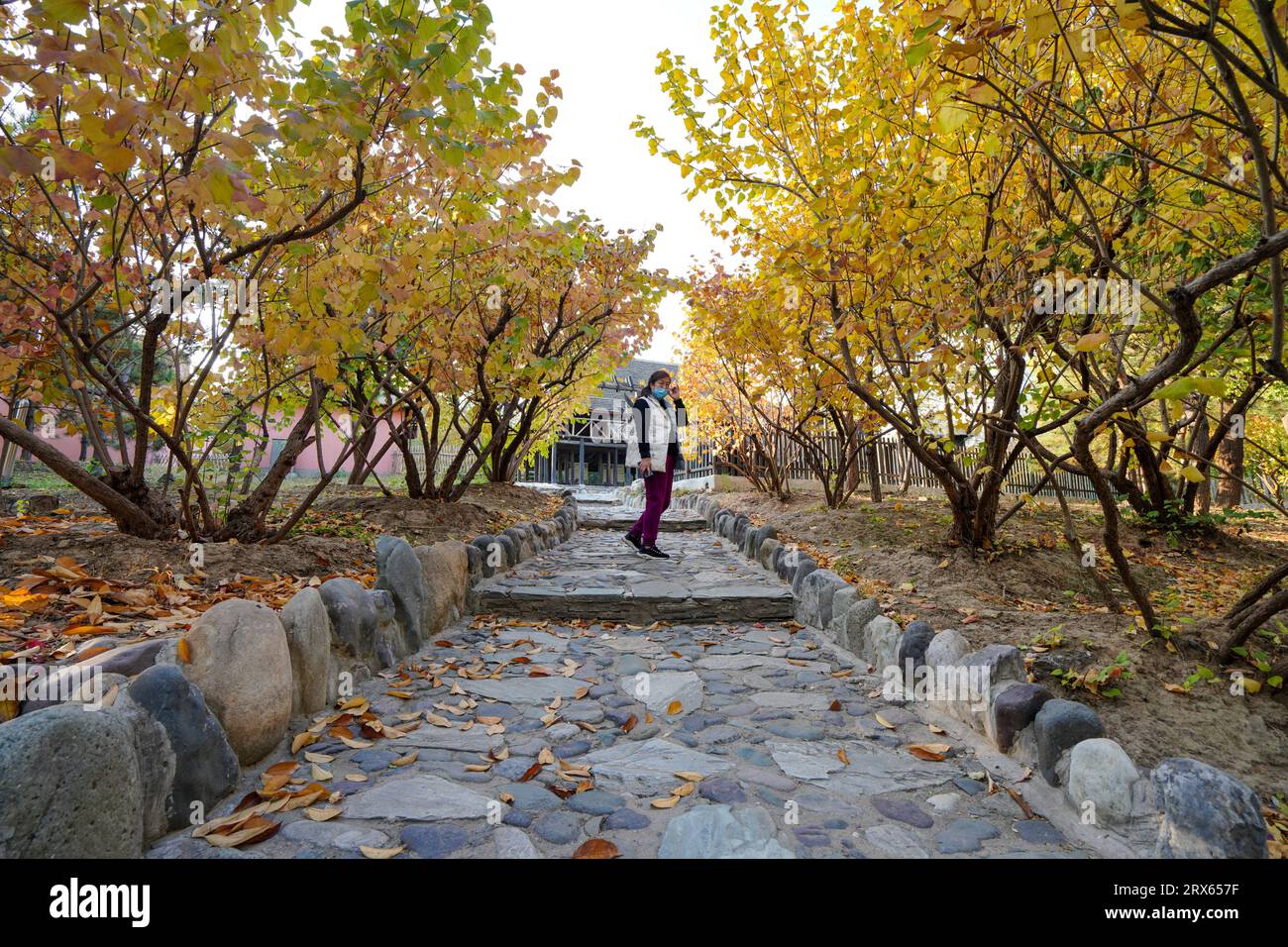 Beijing China, November 3, 2022: Tourists in Hani people Scenic Area of ...
