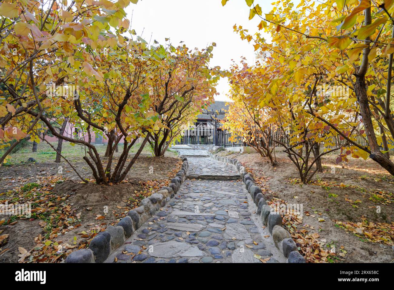 Scenery of Hani people Nationality Scenic Spot in China Ethnic Museum ...