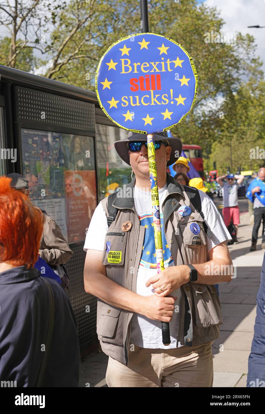 People take part in a Rejoin march at Hyde Park in London, calling for ...