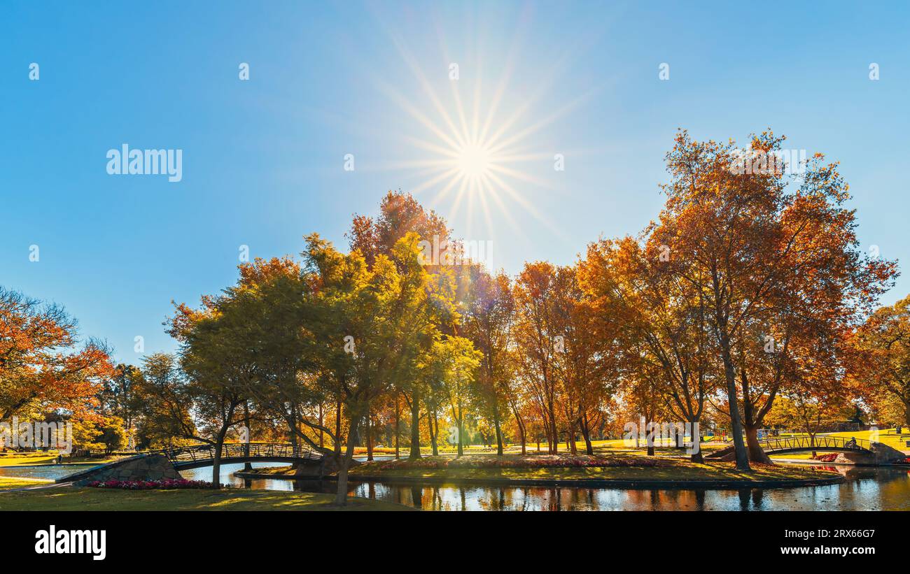 Rymill Park with bridge over the pond in Adelaide city on a sunny ...