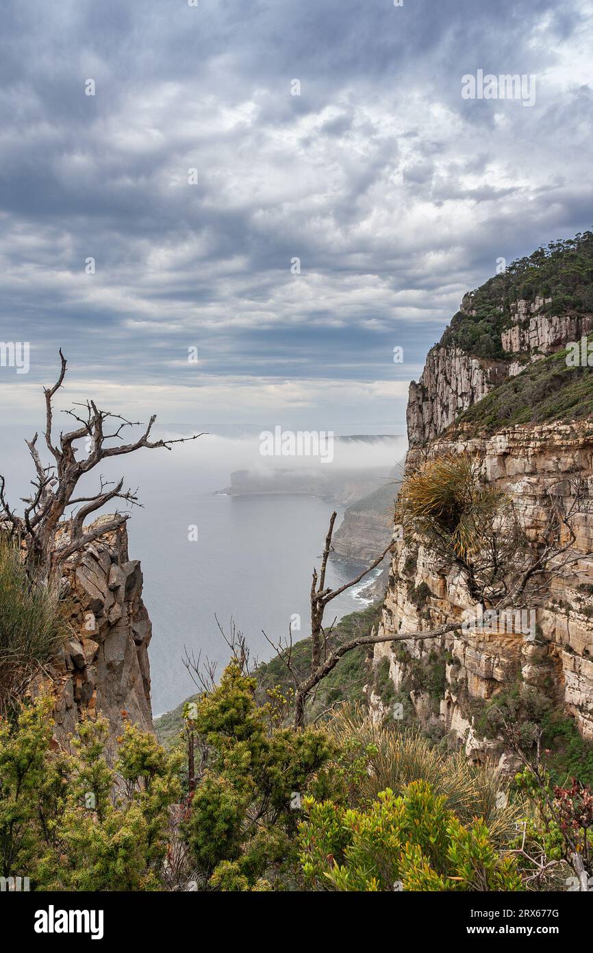 Cape Raoul hiking views captured on a foggy day, located in Tasmania ...