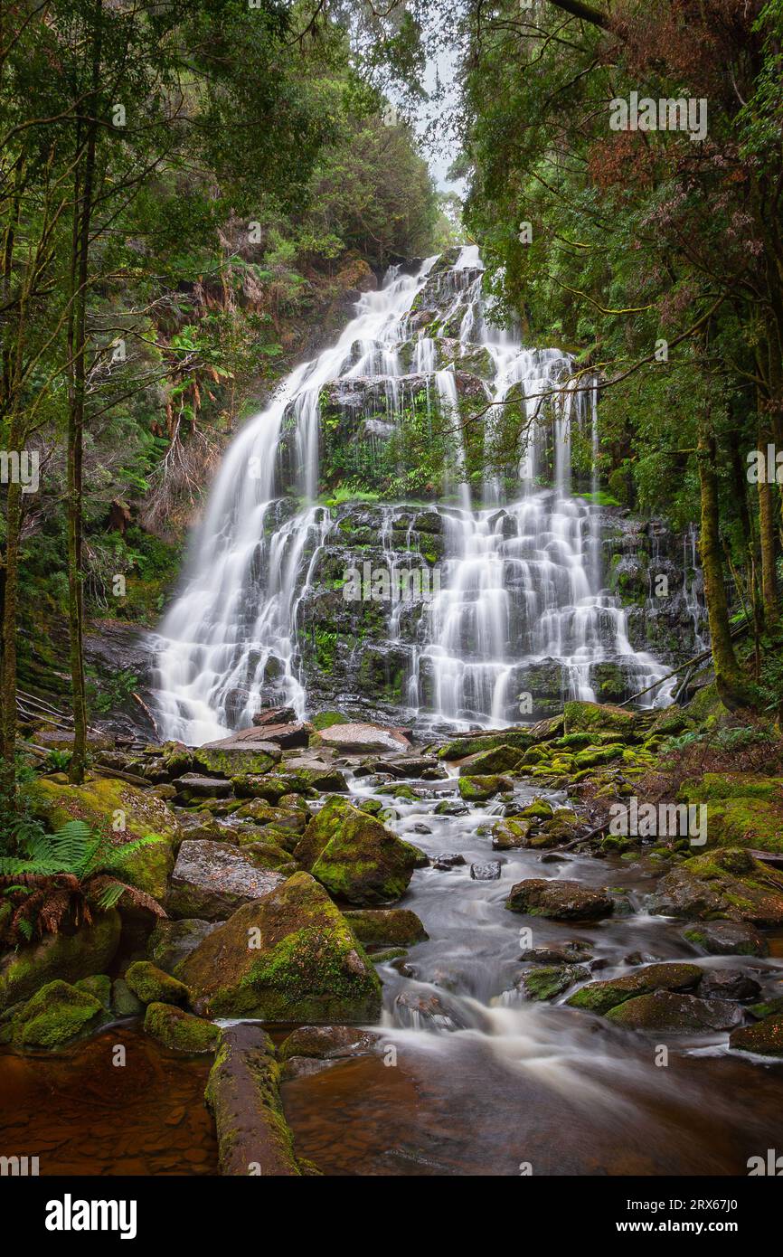 Stunning Nelson Falls located in Franklin-Gordon Wild Rivers National ...