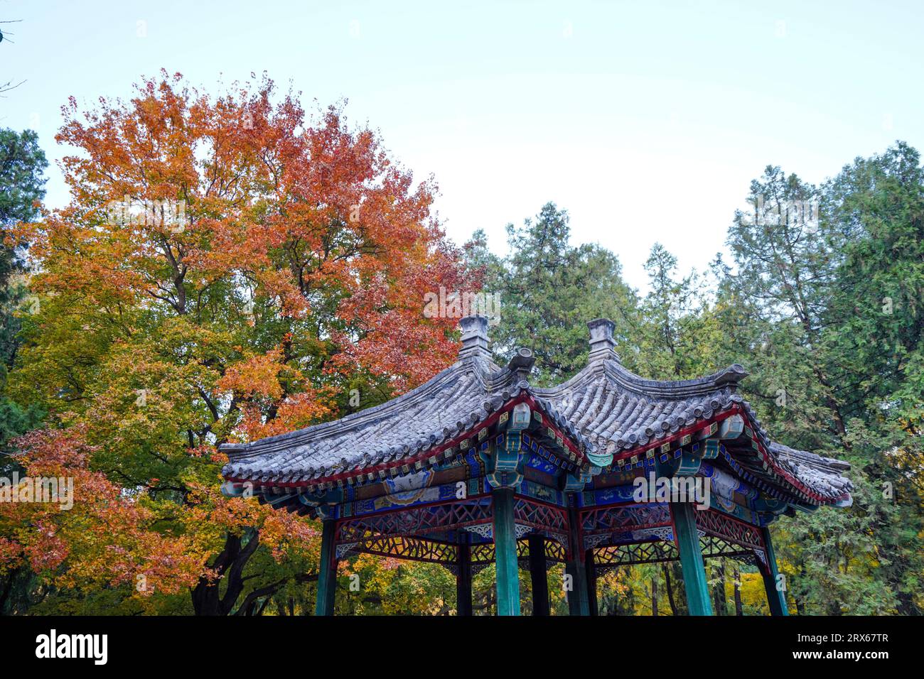 The pavilion in the Temple of Heaven Park in Beijing Stock Photo - Alamy