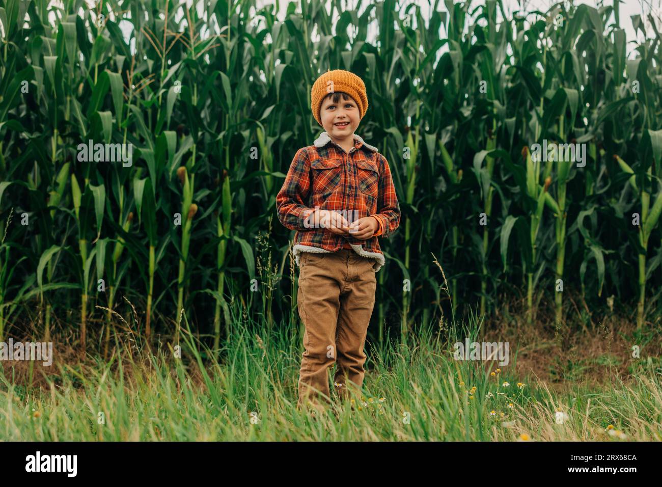 Corn crops in agricultural hi-res stock photography and images - Alamy