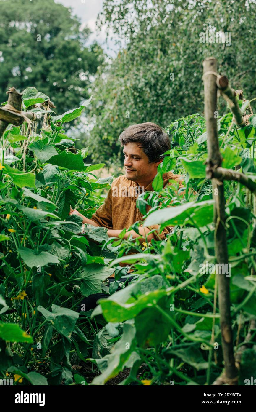 Vegetable man hi-res stock photography and images - Alamy
