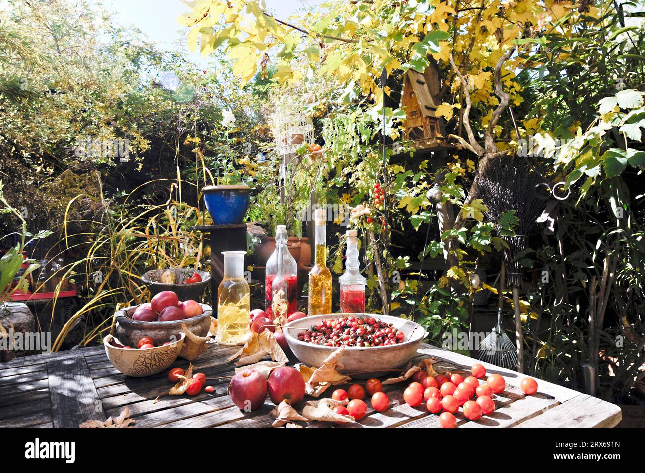Fruits and various bottled oils on garden table Stock Photo - Alamy