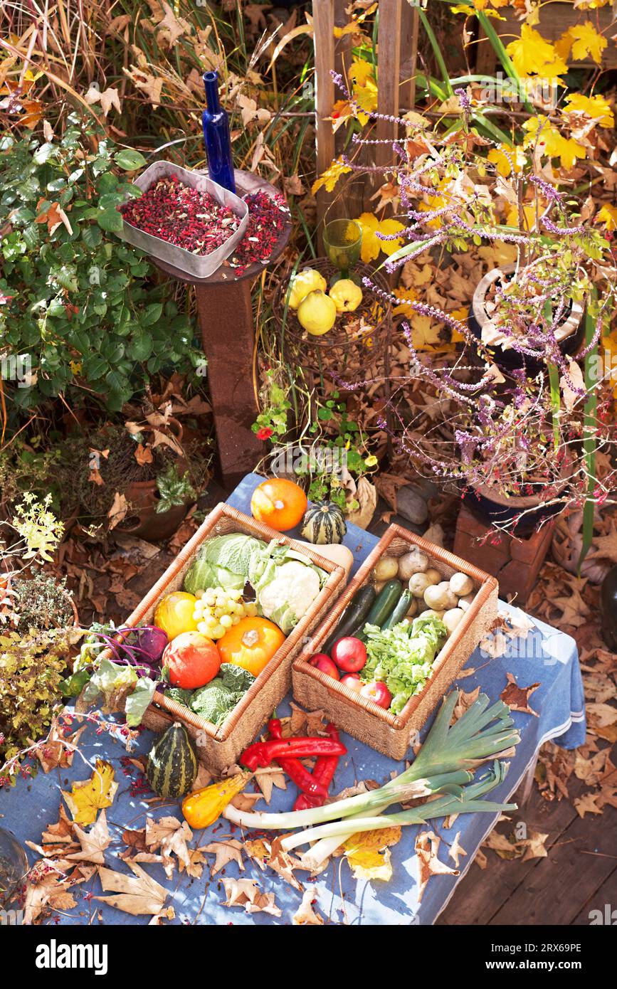 Autumn leaves, fruits and vegetables on garden table Stock Photo - Alamy
