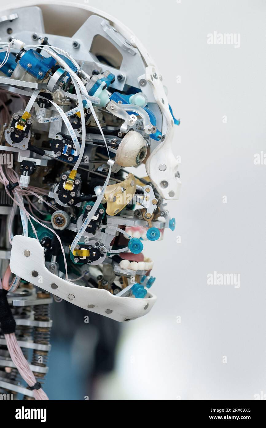 Perm, Russia - July 13, 2023: head of anthropomorphic robot capable of ...