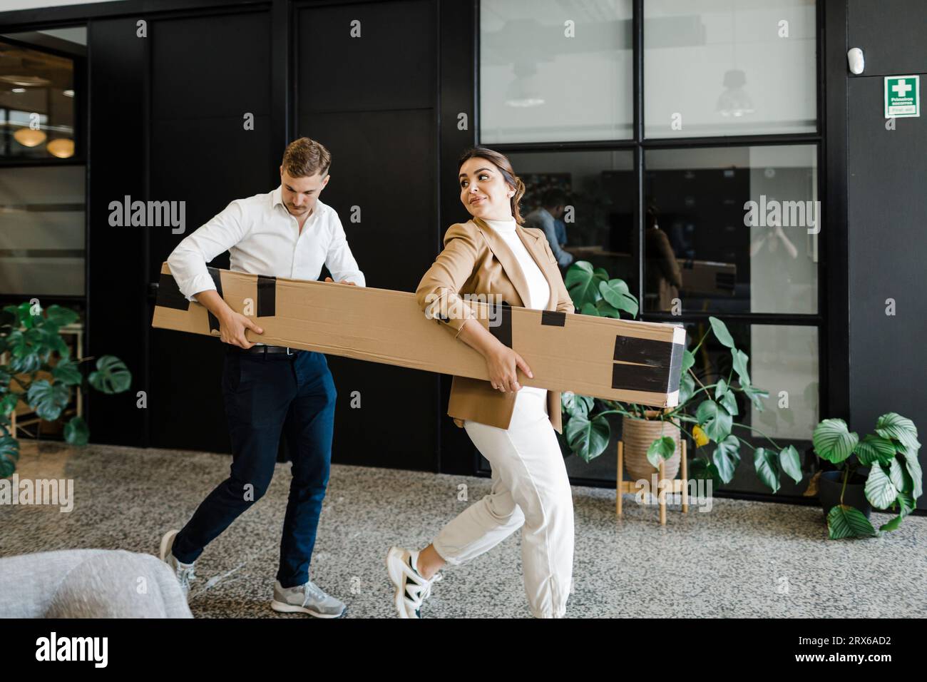 Business colleagues helping each other carrying package at office Stock ...