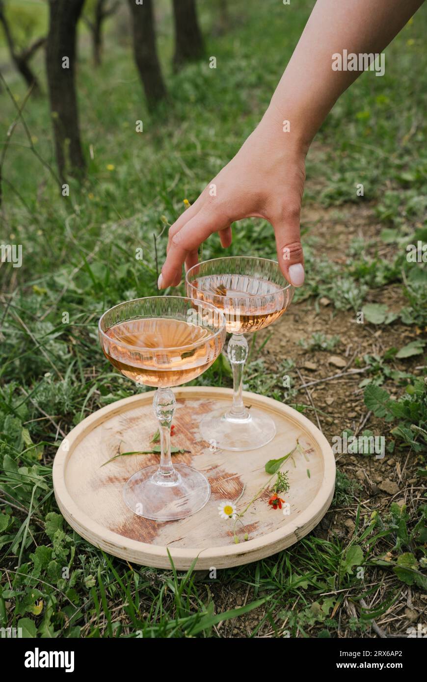 Hand of woman picking up glass of rose wine Stock Photo - Alamy