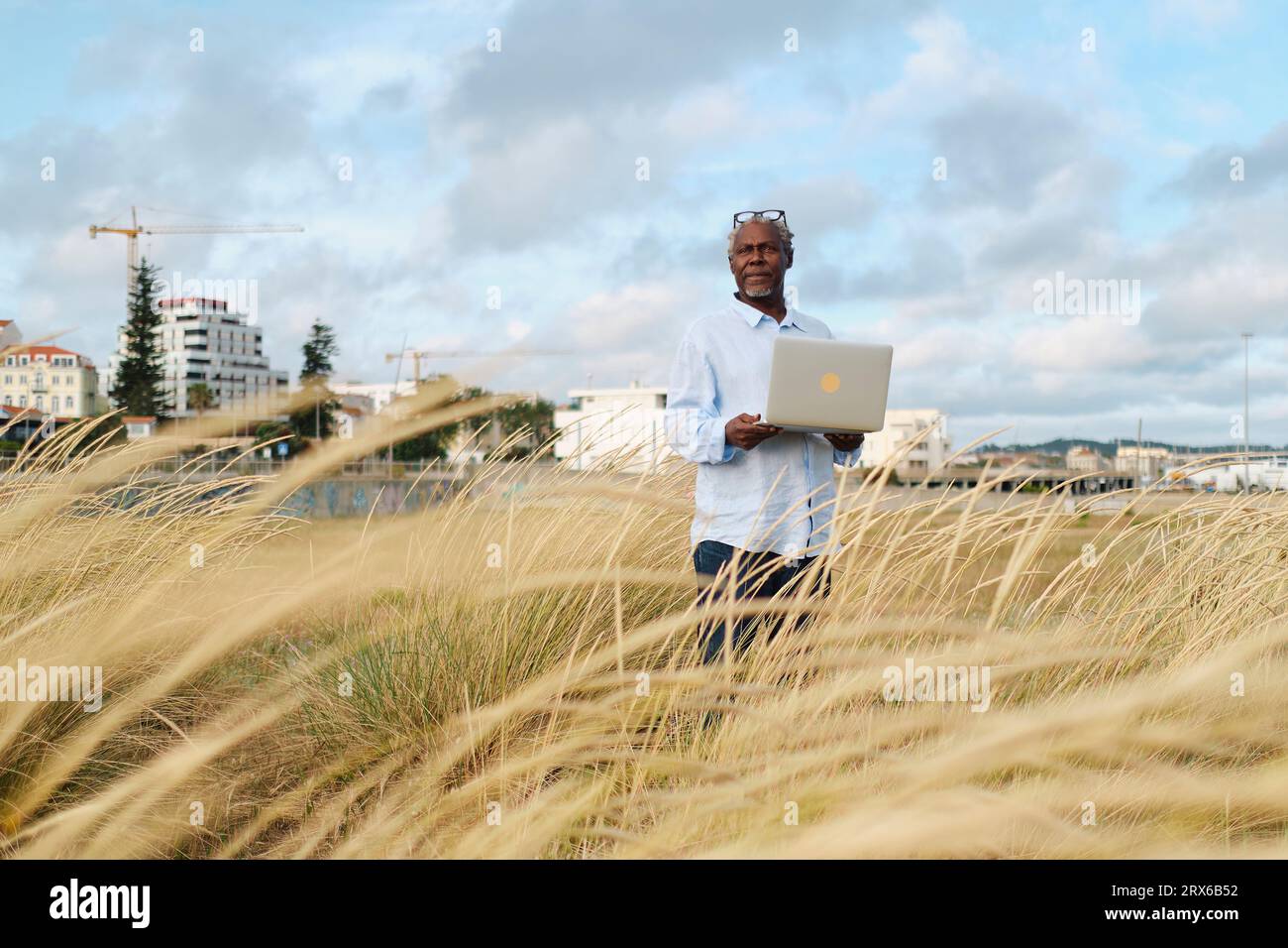 Engineer standing with laptop amidst long grass in field Stock Photo ...