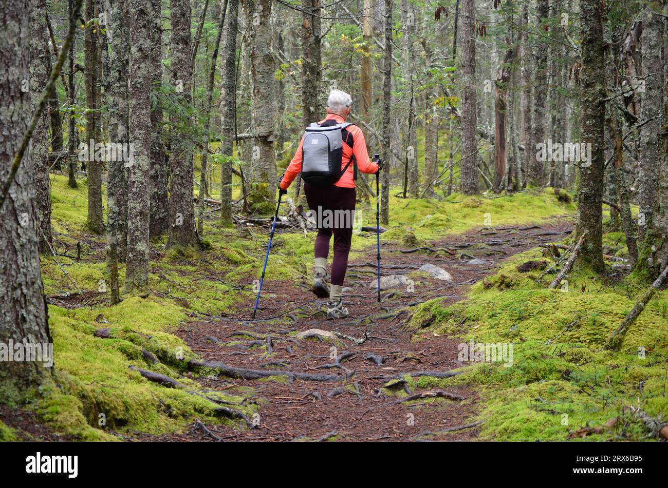 Senior woman take break hi-res stock photography and images - Alamy