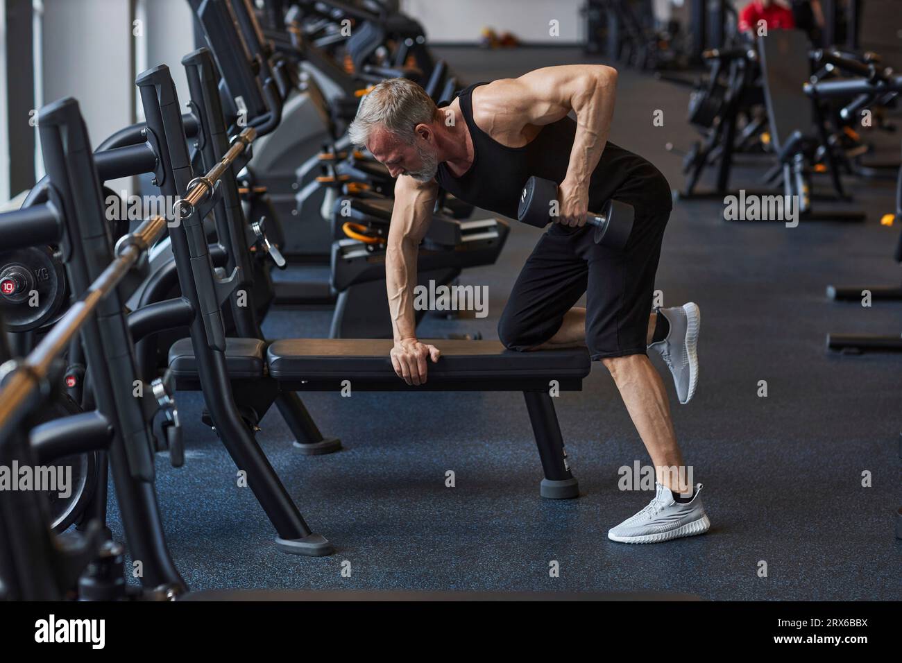 Dumbbell workout routine hi-res stock photography and images - Alamy