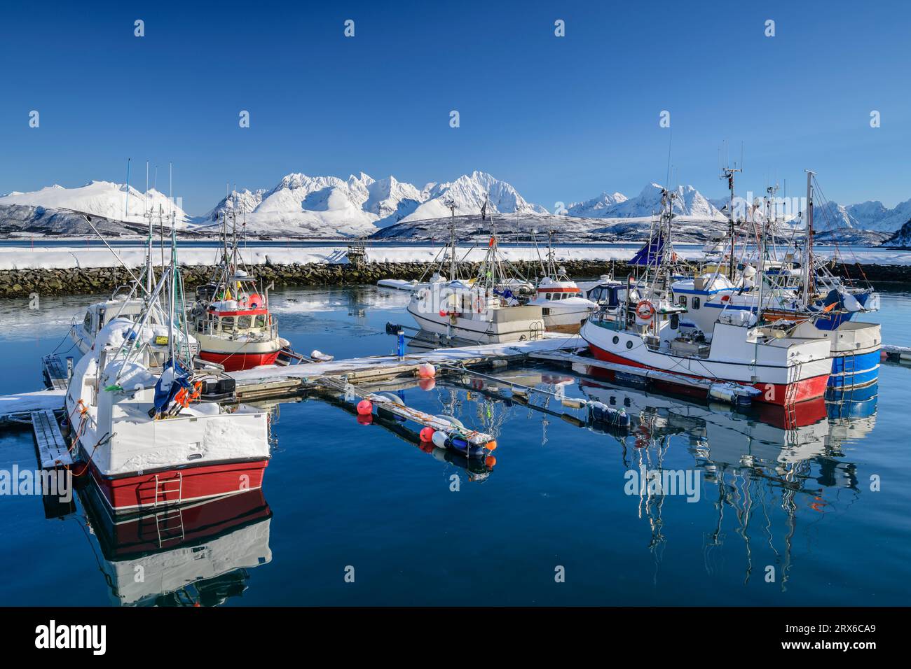 Norway, Troms og Finnmark, Oldervik, Marina in secluded fishing village ...