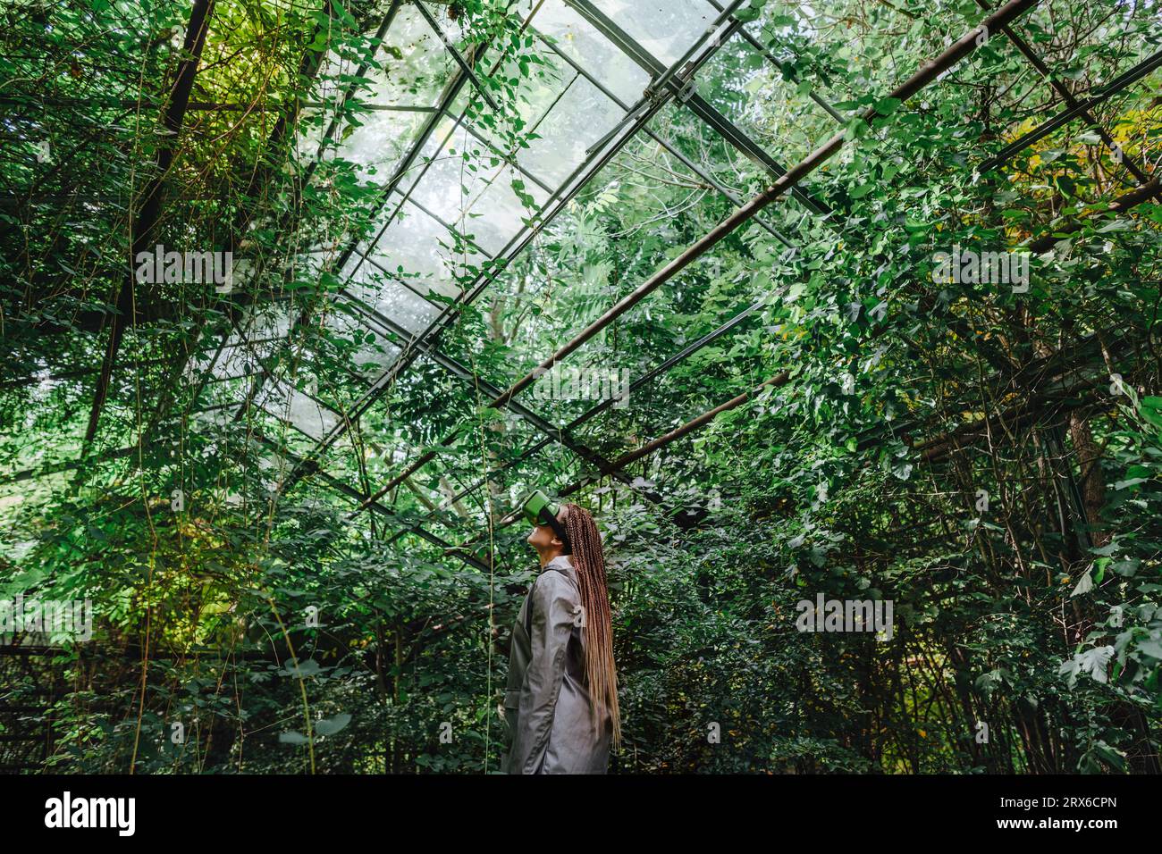 Woman watching trees through futuristic glasses in greenhouse Stock ...