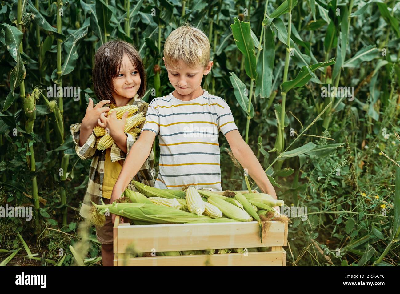 Corn brothers hi-res stock photography and images - Alamy
