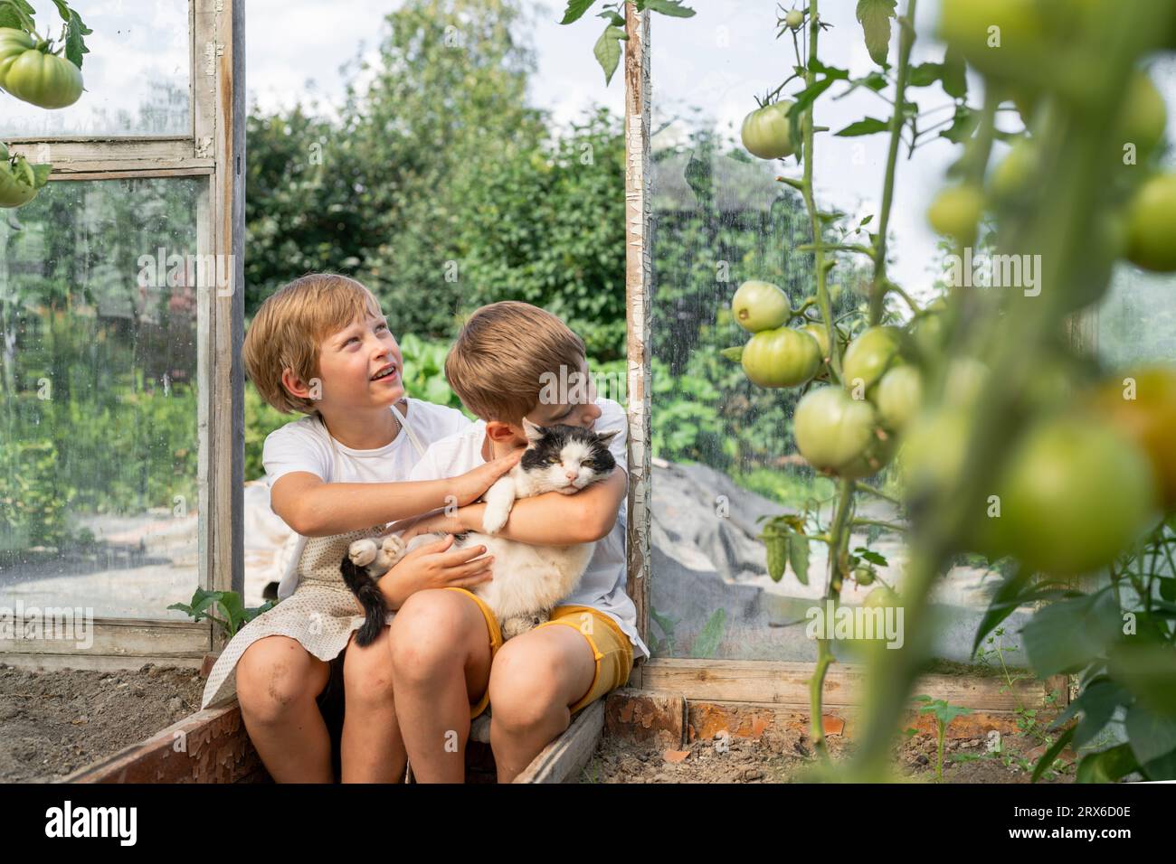 Boy 9 10 garden cat hi-res stock photography and images - Alamy