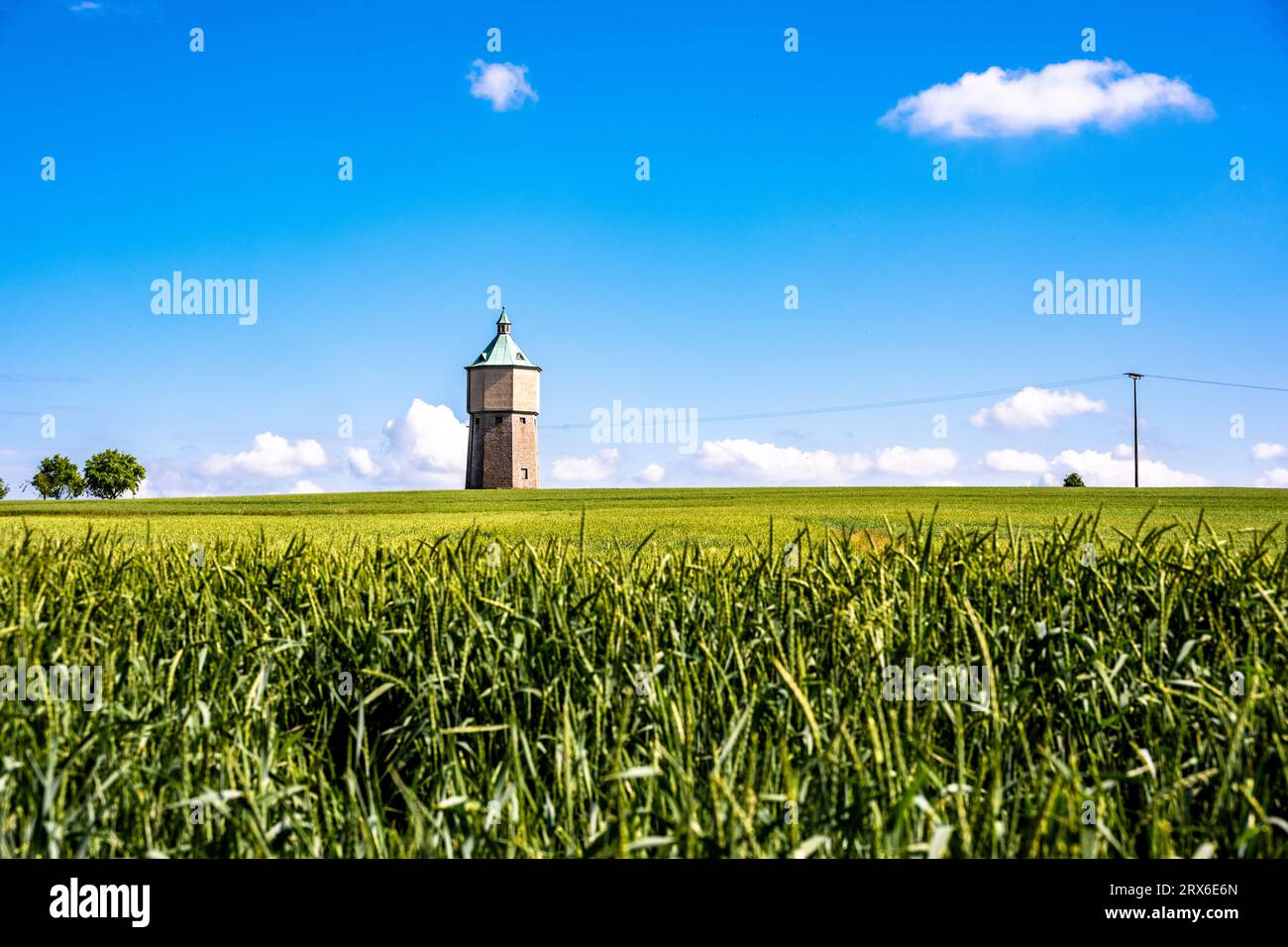 Germany, Baden-Wurttemberg, Crailsheim, Green springtime field with ...
