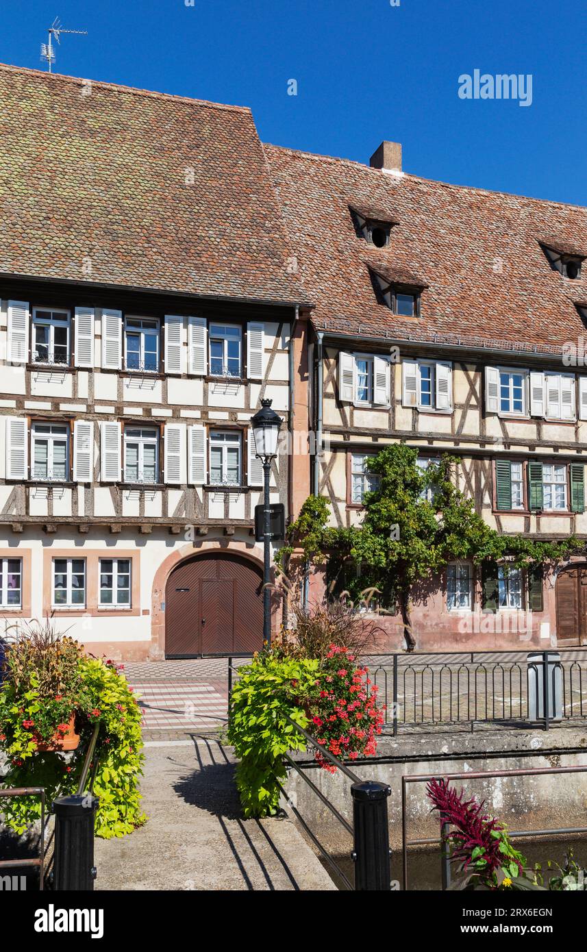 France, Grand Est, Wissembourg, Facades of historic half-timbered ...