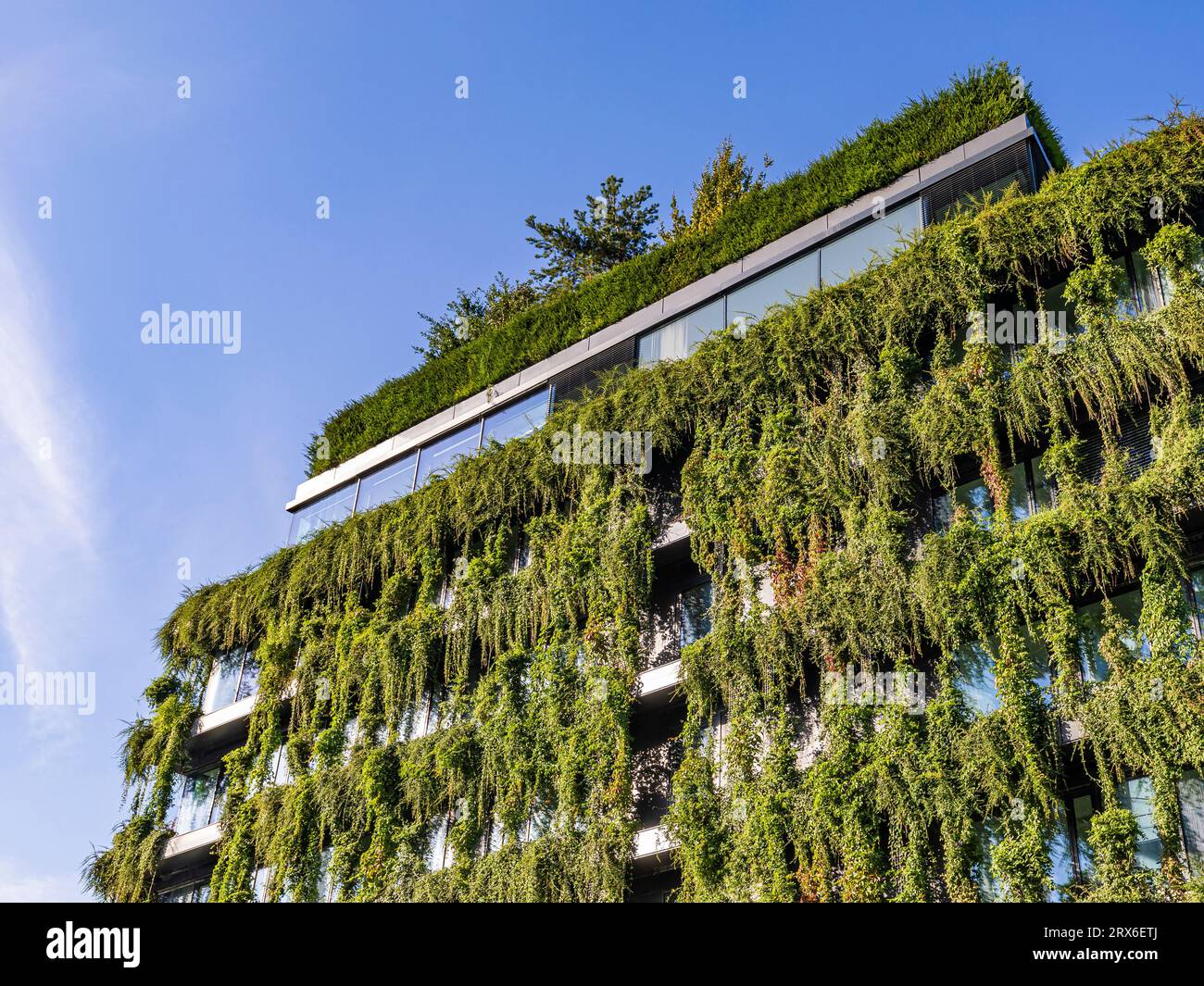 Germany, Baden-Wurttemberg, Stuttgart, Overgrown facade of office ...