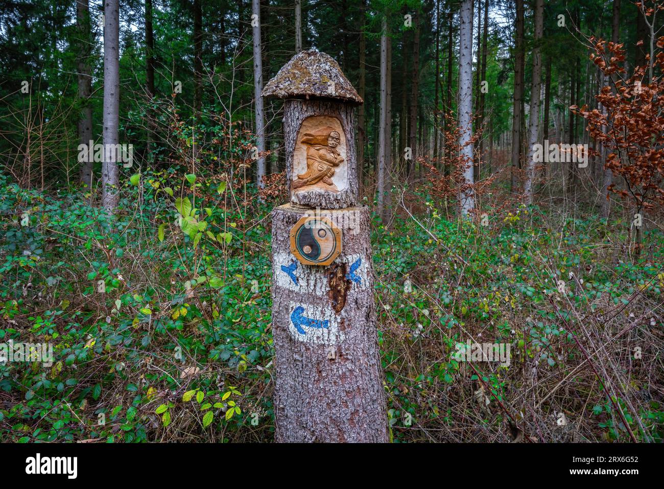 Linden tree hi-res stock photography and images - Alamy