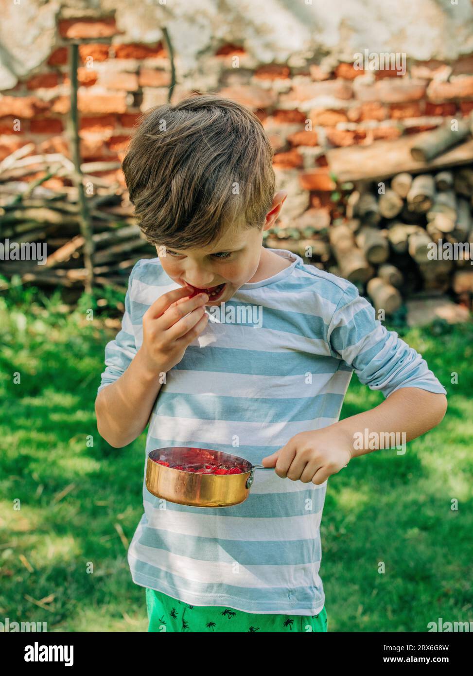 Boy with cooking pan eating raspberry in backyard Stock Photo - Alamy