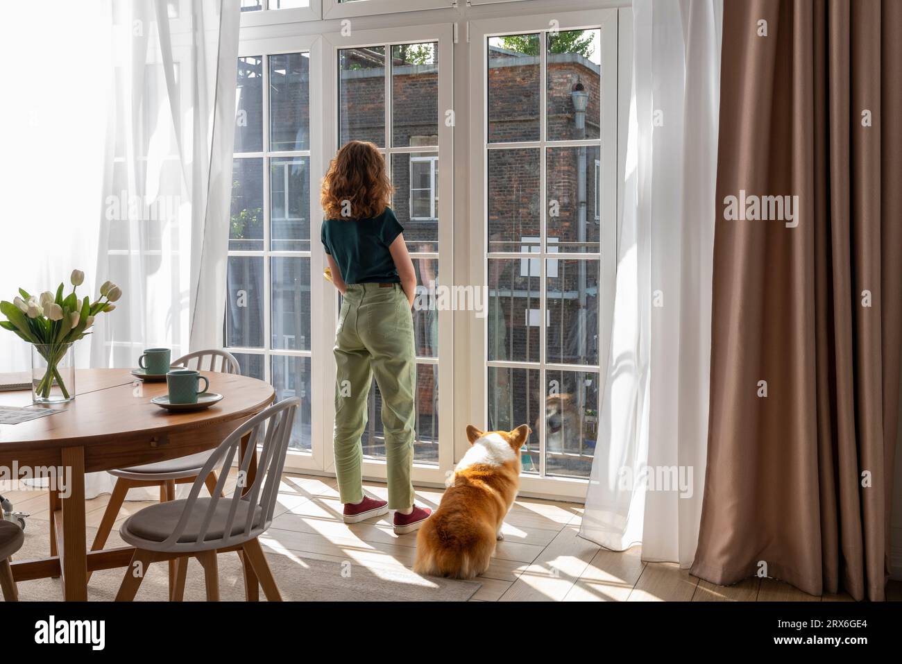 Dog through window hi-res stock photography and images - Alamy