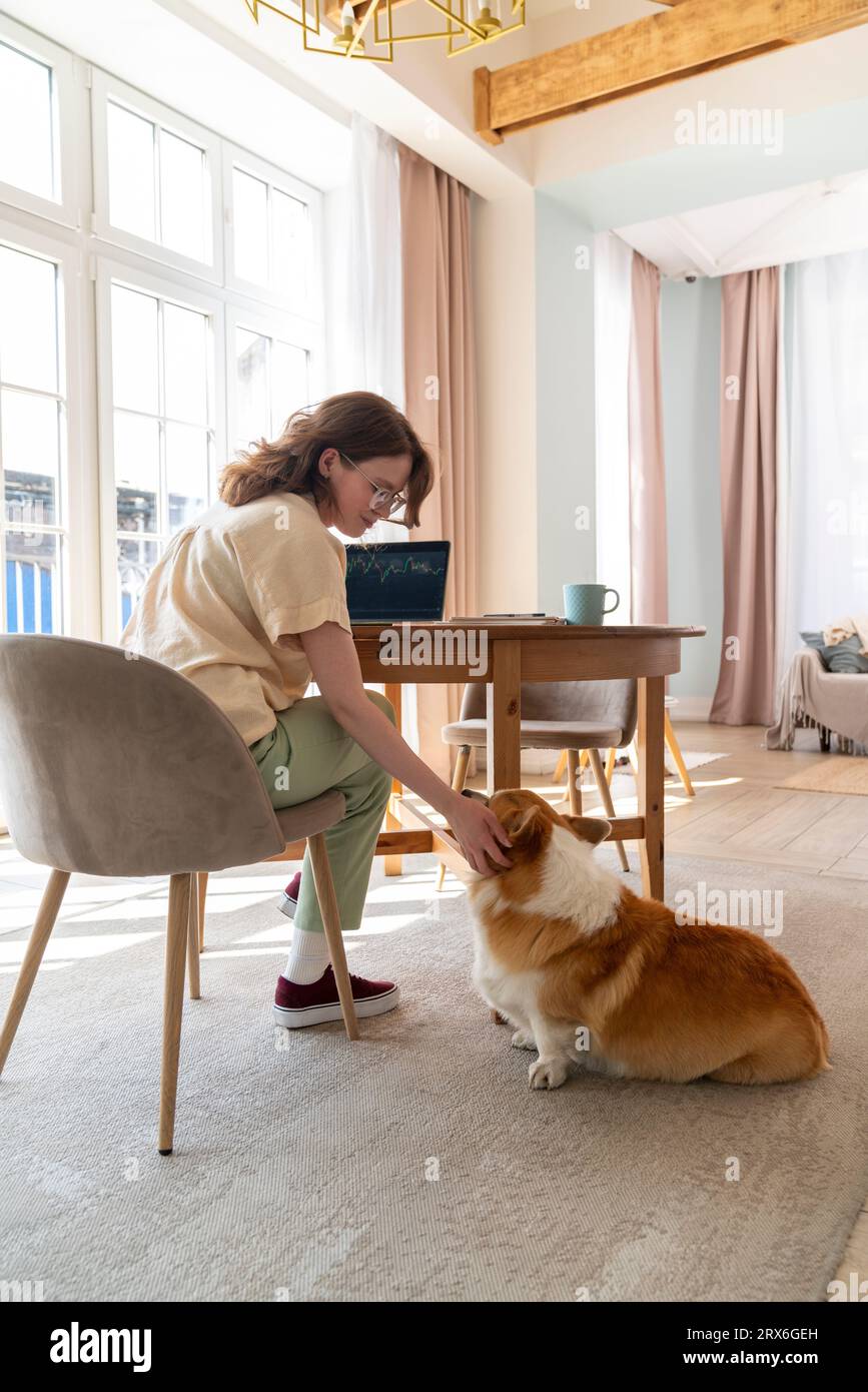 Pet sitting on chair hi-res stock photography and images - Alamy