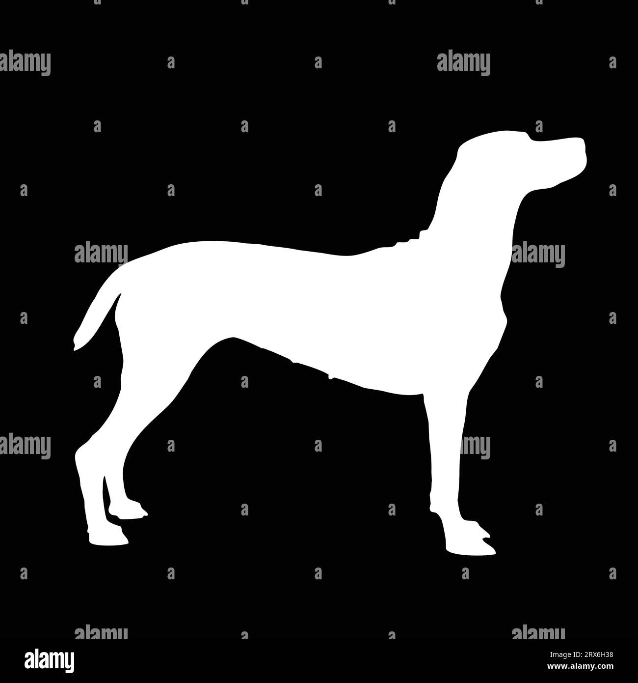 Dog shape vector illustration. White dog silhouette over black ...