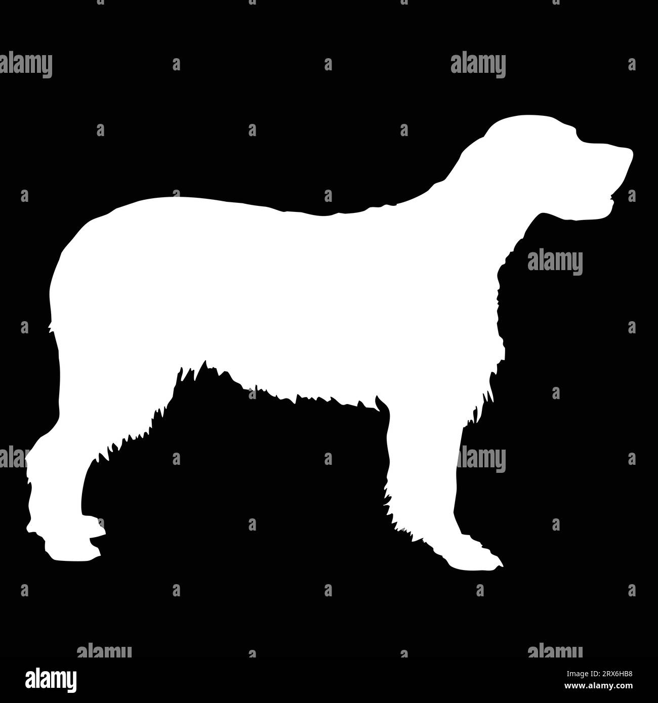 Dog shape vector illustration. White dog silhouette over black ...