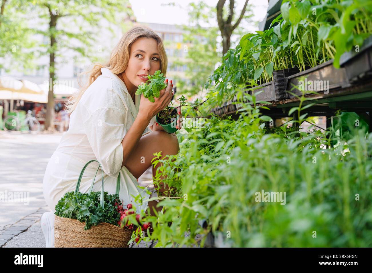 Woman plant vegetables hi-res stock photography and images - Alamy