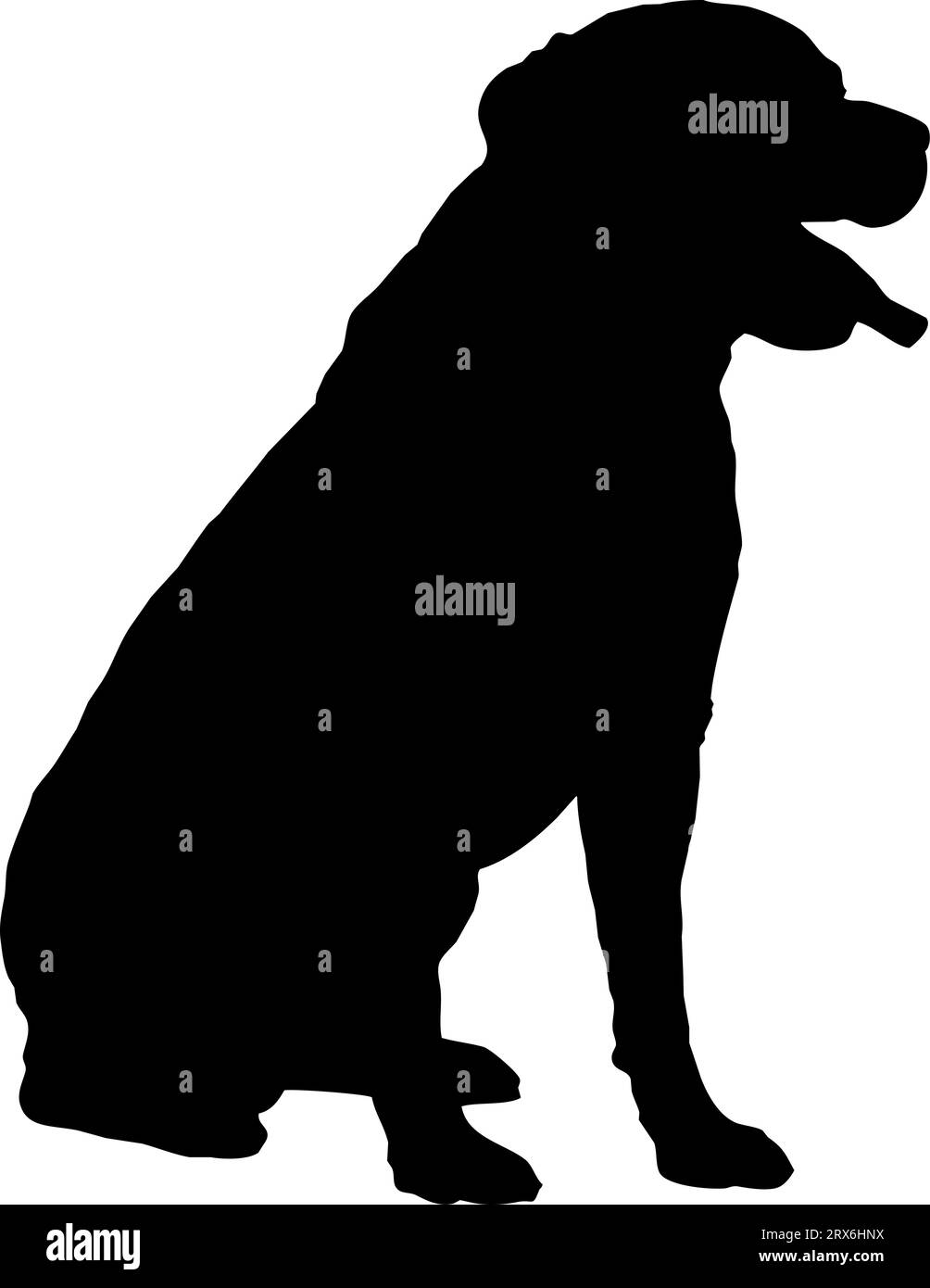 Dog silhouette sign vector illustration. Black dog shape over white ...