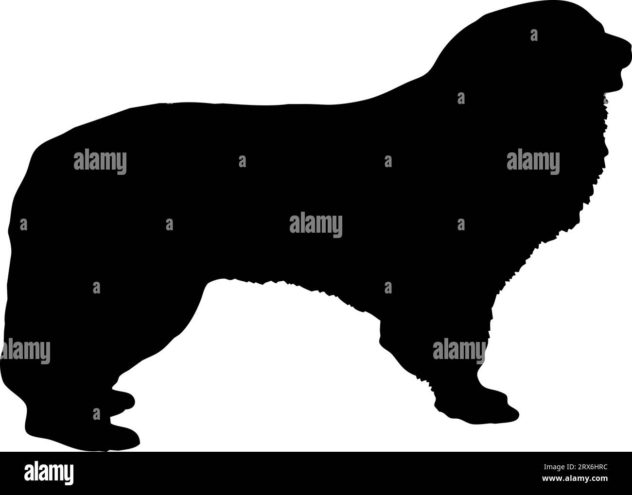 Dog silhouette sign vector illustration. Black dog shape over white ...