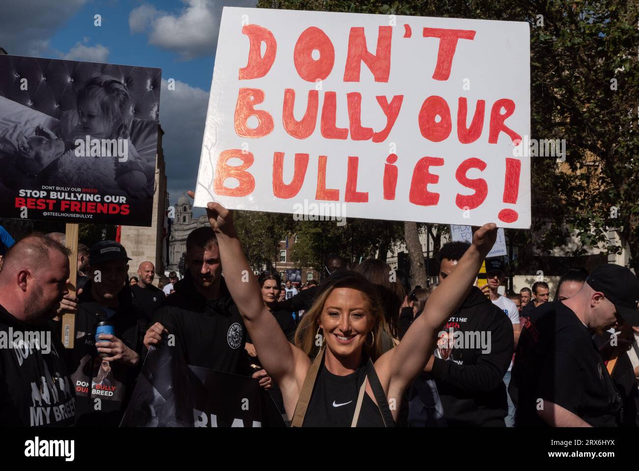 American xl bullies hi-res stock photography and images - Alamy