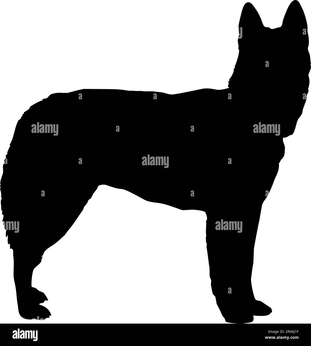 Dog silhouette sign vector illustration. Black dog shape over white ...