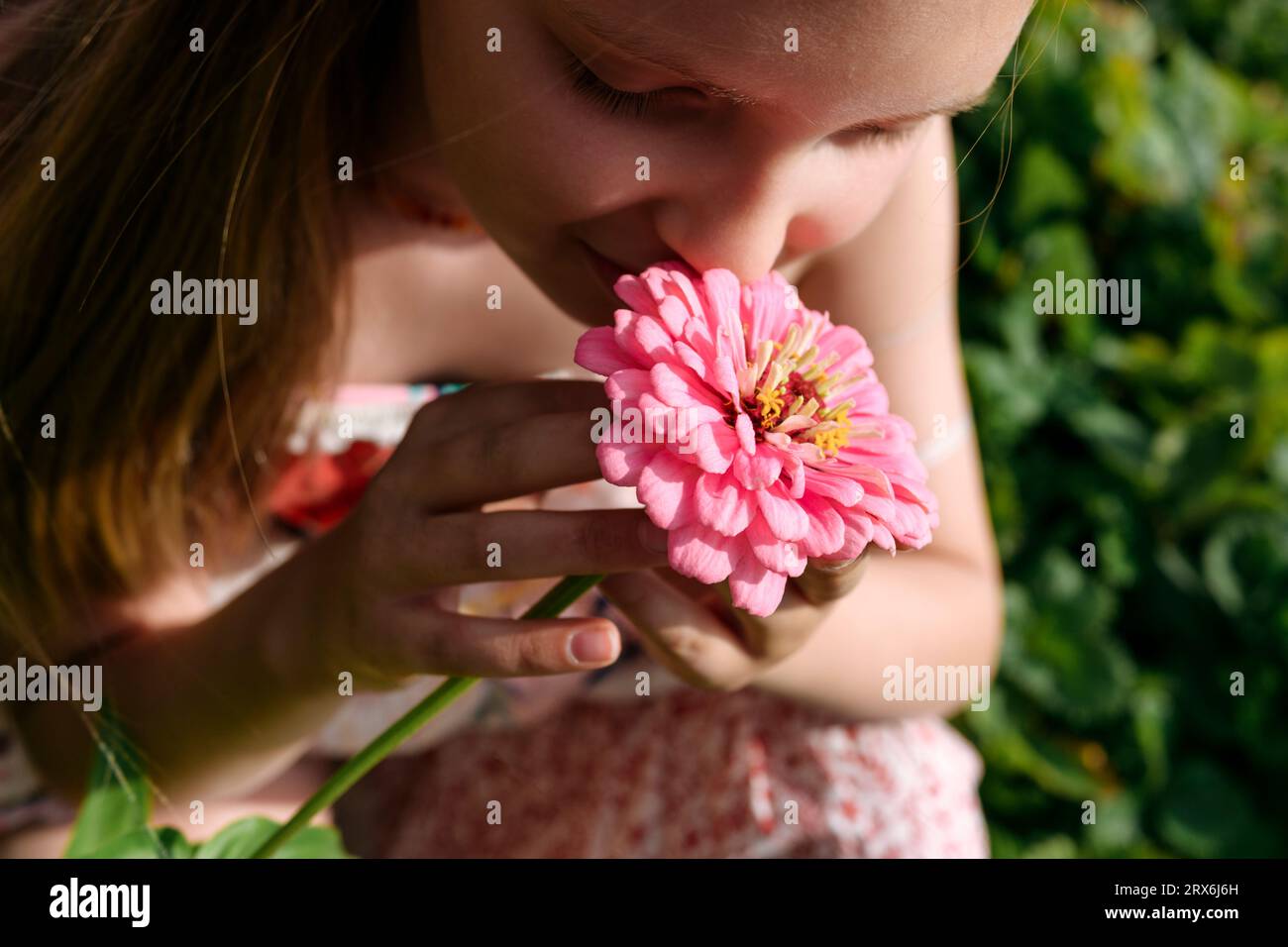 Smelling girl hi-res stock photography and images - Alamy